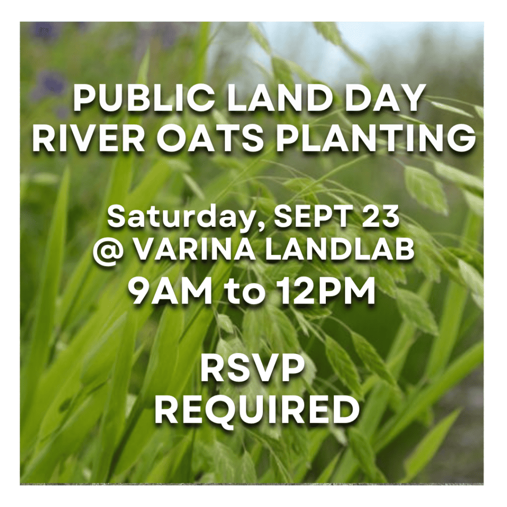 PUBLIC LANDS DAY! Volunteer River Oat Planting - CRLC Events