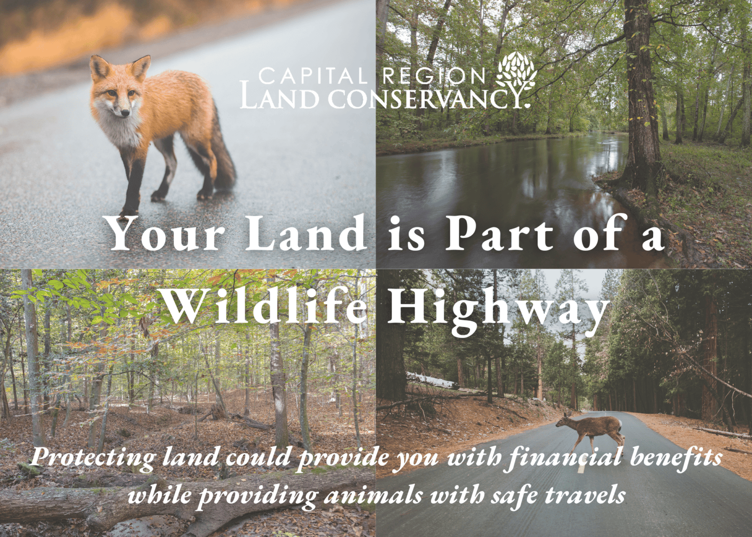 CRLC & DWR Wildlife Corridor Workshops - Capital Region Land Conservancy